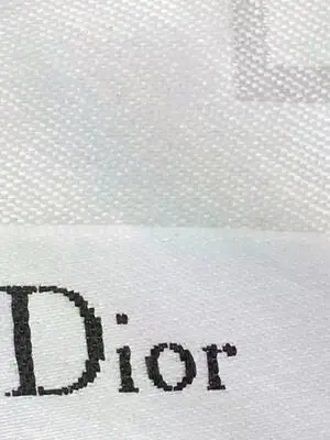 Dior 2016 Croisière Leaf-print Scarf