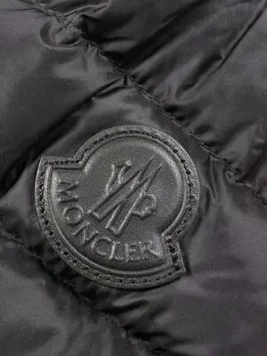 Moncler 2020 Raies Hooded Down Jacket