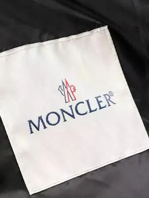 Moncler 2020 Raies Hooded Down Jacket