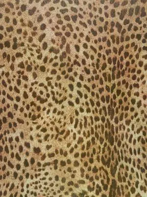 Just Cavalli Leopard-print Jersey Top