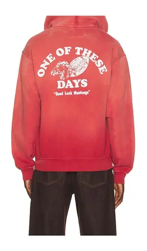 ONE OF THESE DAYS Good Luck Mustangs Zip Hoody