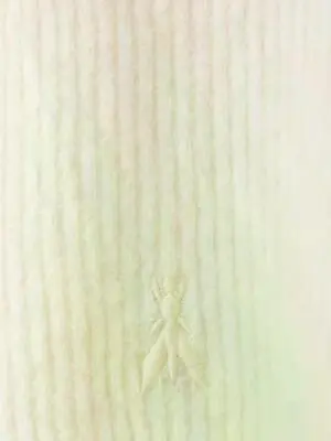 Patrizia Pepe Ribbed-knit Sleeveless Sweater
