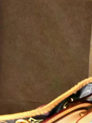 LOUIS VUITTON Petit Noe Handbag Monogram Multicolor Bucket Bag