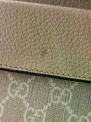Gucci Dionysus Bag Gg Coated Canvas With Leather Small Shoulder Bag
