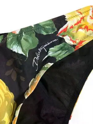 Dolce & Gabbana Floral-print Bikini Bottoms