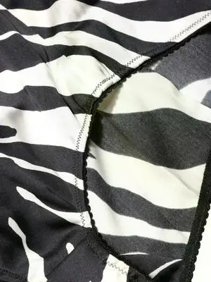 Dolce & Gabbana Zebra-print High-waist Briefs