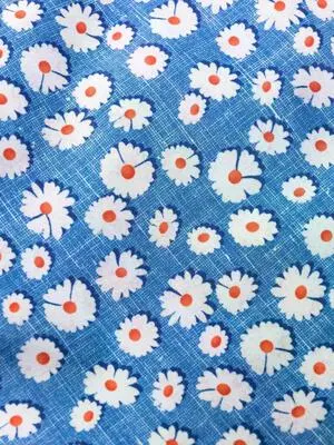 Fedeli Daisy-print Swim Shorts
