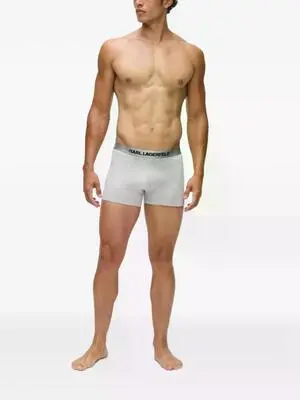Karl Lagerfeld Metallic Logo Trunks