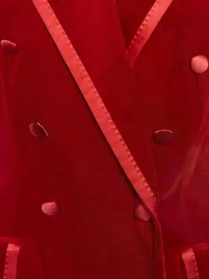 Dolce & Gabbana Double-breasted Velvet Blazer