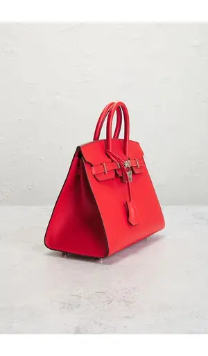 FWRD RENEW Hermes Epsom Birkin 25 Sellier Handbag