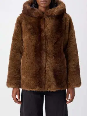 Apparis Coat Colour - Brown