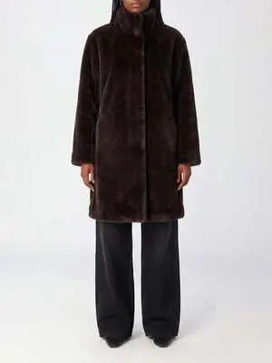 Apparis Coat Colour - Brown