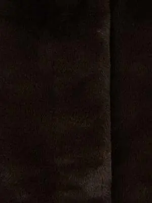 Apparis Coat Colour