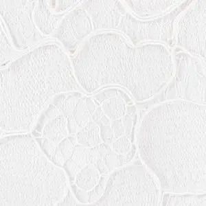 Amina Muaddi Lace Camelia Clutch Bag