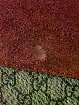 Gucci Dionysus Bag Blooms Print Gg Coated Canvas Small Shoulder Bag