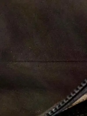 Gucci Eden Waist Bag Gg Coated Canvas Large Belt Bag