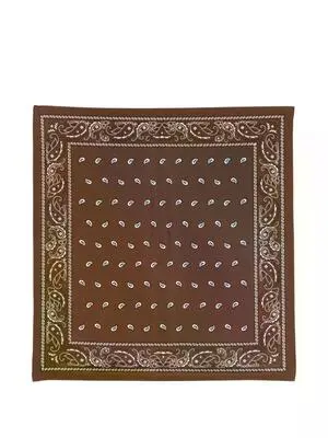 P.a.r.o.s.h Paisley-print Scarf - Brown