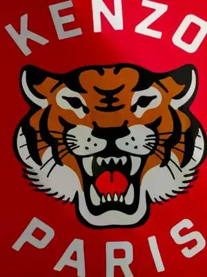 Kenzo Lucky Tiger Scarf Red