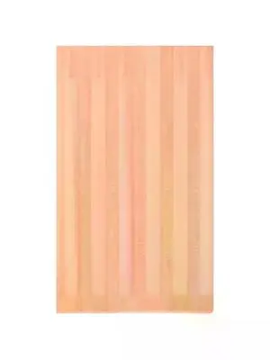 Elisabetta Franchi Striped Scarf - Orange