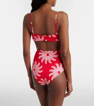 CALA DE LA CRUZ Elisa Printed Bikini Bottoms - Multicoloured