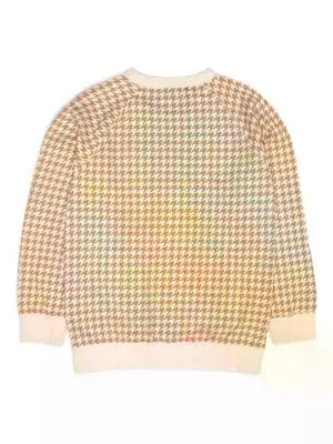TS(S) Houndstooth Raglan Sleeve Sweatshirt