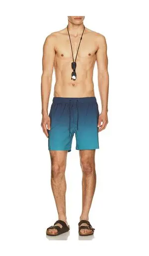VINTAGE SUMMER Performance Stretch Lined Volleys