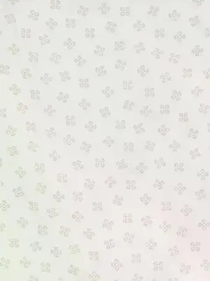 Eleventy Floral Scarf - Neutrals