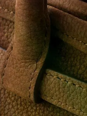 Prada Bonnie Medium Nubuck Leather Handbag - Brown