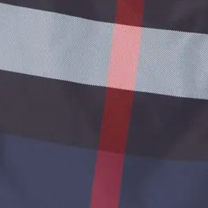 Burberry Check Swim Shorts