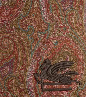 Etro Cotton-blend And Suede Arnica Cushion - Brown