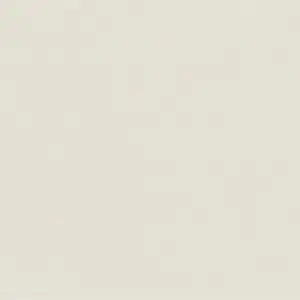 MAISON MARGAUX Set Of 4 Shell Dinner Plates