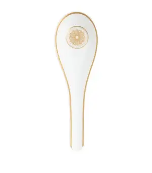 Christofle Porcelain Malmaison Platinum Impériale Chinese Spoon - Silver
