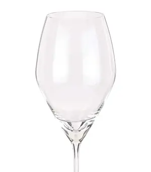 RIEDEL Crystal Performance Champagne Flutes