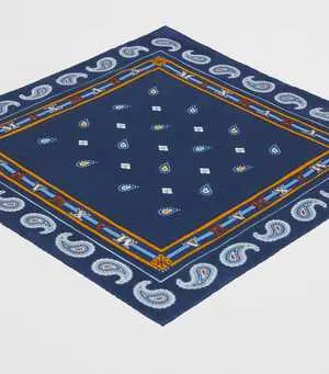 Max Mara Silk Printed Scarf - Blue