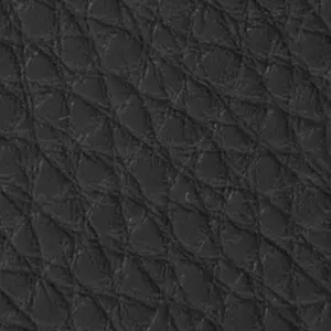Loewe Grained Leather Puzzle Edge Passport Cover