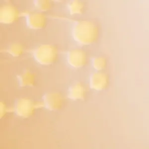 Bernardaud Festive Led Votivelight Lithophane