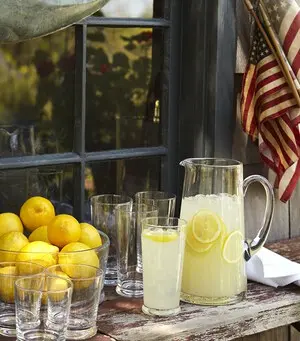 Ralph Lauren Ethan Tall Cocktail Glass