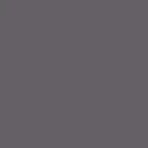 Gingerlily Silk King Pillowcase - Grey