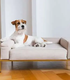 LOOTY Medium Kensington Dog Sofa