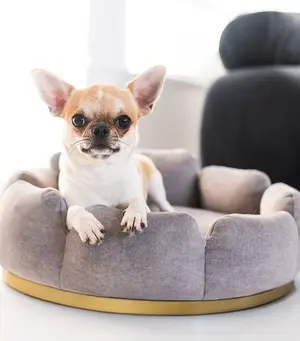 LOOTY Small Camelia Pet Bed