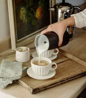 DUALIT Handheld Milk Frother