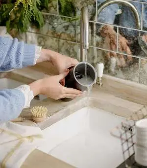 DUALIT Handheld Milk Frother