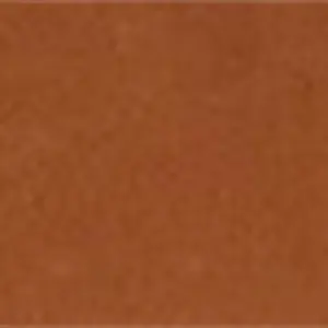 Ralph Lauren Leather Garrett Frame