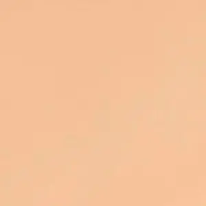 SUQQU Intense Cover Concealer - Neutral