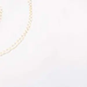 YVES DELORME COUTURE Nautilus Neck Roll