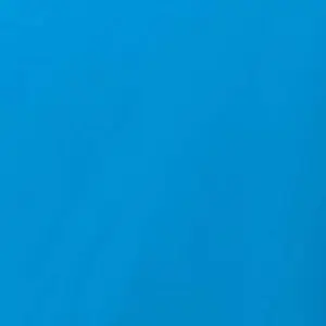 Ralph Lauren Cotton Polo Player Standard Pillowcase - Blue