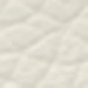 TOM FORD Warwick Leather Sneakers - Neutral