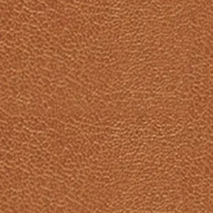 ASPINAL OF LONDON Leather Iphone 16 Pro Max Case