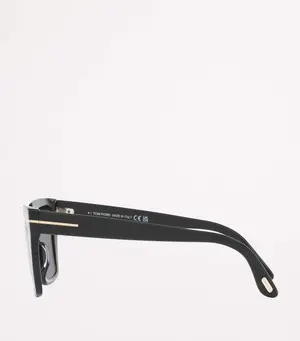 TOM FORD Acetate Cat Eye Sunglasses