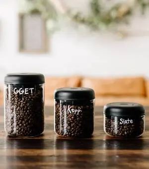 FELLOW Atmos Vacuum Storage Canister